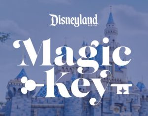 Disneyland Magic Key Program explanation and how to decide if it’s ...