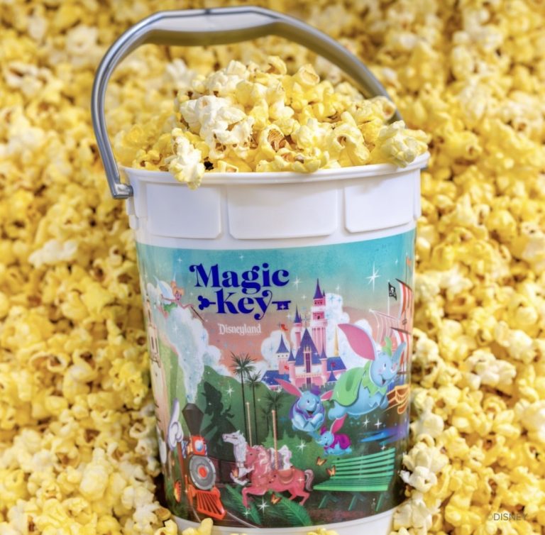 Disneyland Magic Key Program explanation and how to decide if it’s ...